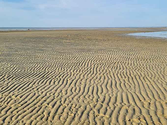 The Brewster Tidal Flats stretch endlessly toward the horizon, nature's own version of infinity.