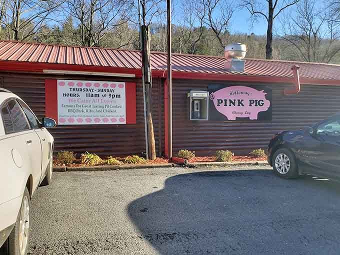 Holloway's Pink Pig in Cherry Log, Georgia, where the mountains, the smoke, and the legend all meet in one glorious spot.