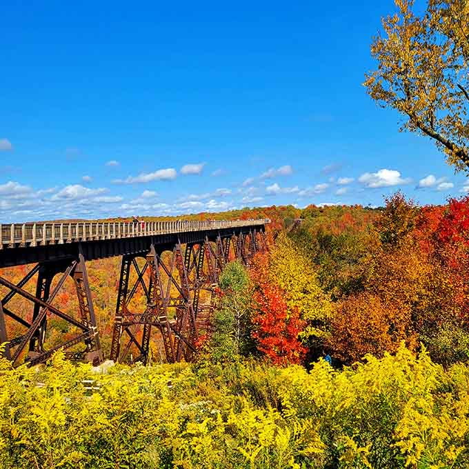 The Kinzua Bridge stands tall above the forest canopy, a testament to engineering ambition and nature's ultimate authority.