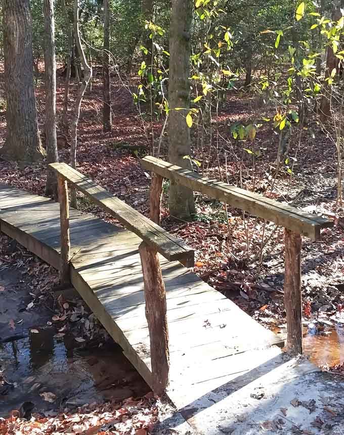 When a trail promises pathways, it delivers exactly that&mdash;no false advertising in these Maryland woods.