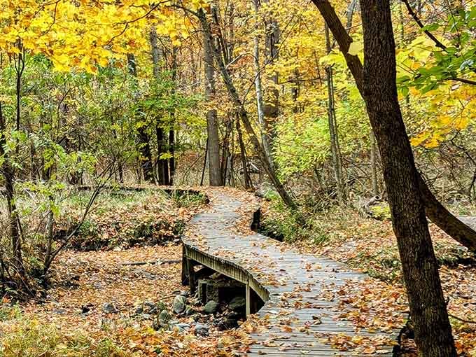 The Little-Known Michigan Nature Preserve That Locals Are Keeping All ...