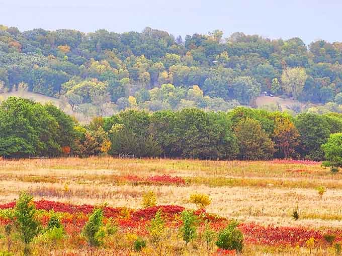 Enjoy the gorgeous view of rolling hills and vibrant autumn colors spreading across the open valley prairie landscape.