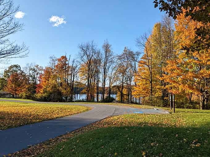 That winding path through golden trees isn't a painting. It's your Tuesday afternoon waiting to happen.