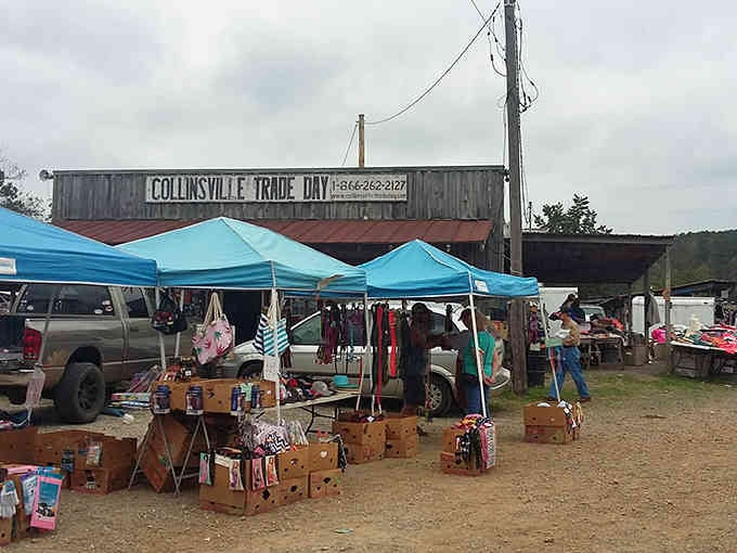 Rows of blue canopies signal serious business: the business of finding incredible deals on everything under the Alabama sun.