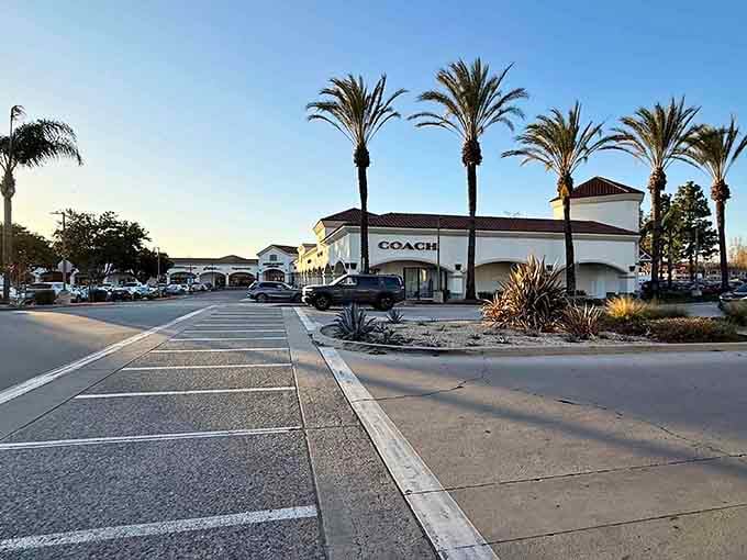 Tall palm trees and plenty of parking greet you at the Coach outlet store, ready for a great day of shopping!