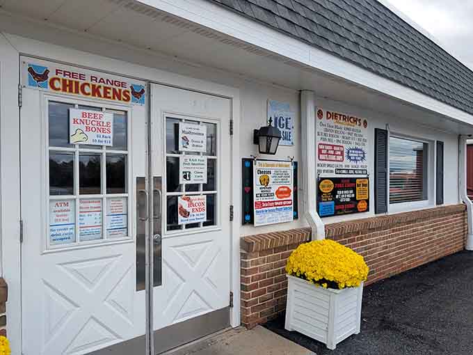 That storefront isn't shy — free-range chickens, beef knuckle bones, and bacon ends announced before you even knock.