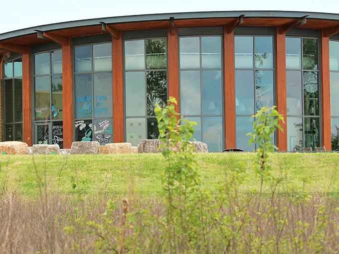 Floor-to-ceiling windows frame the wetlands like living paintings, bringing the outdoors in without the mosquitoes.