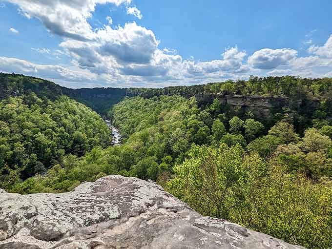 Nature's masterpiece: Little River Canyon proves Alabama has been hiding serious geological talent all along.