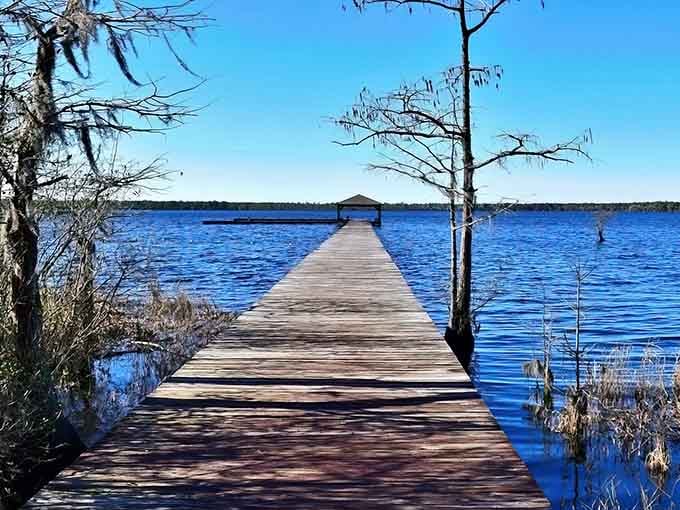 That dock isn't just wood and water. It's a one-way ticket to pure, unhurried peace at Singletary Lake State Park.