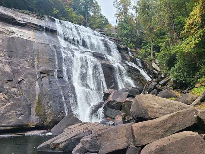 Nature's masterpiece, no filter needed. Gorges State Park proves North Carolina has been holding out on us.