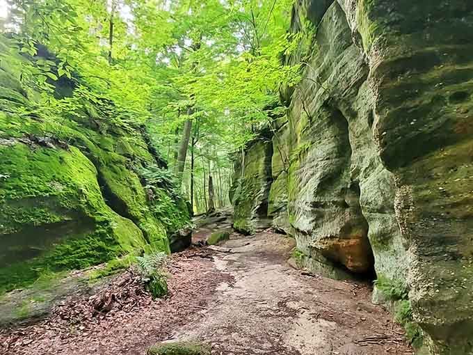 Ancient sandstone walls rise like nature's own skyscrapers, reminding you that Ohio never needed an architect.