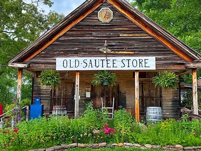 This weathered beauty has been standing its ground in Sautee Nacoochee longer than most of us can imagine.