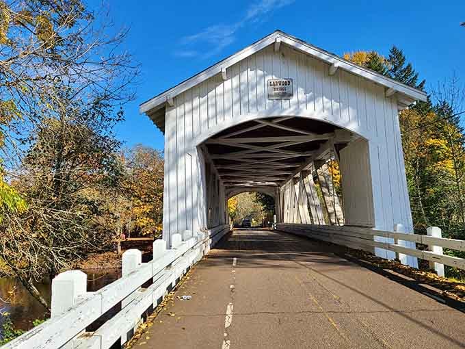 That white wooden entrance isn't just a bridge, it's an invitation to slow down and breathe.