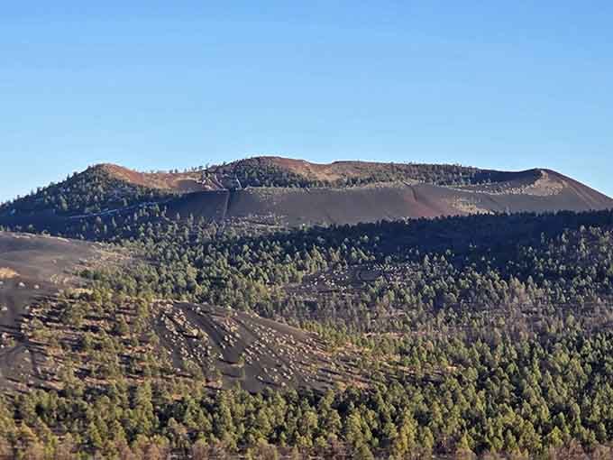 That dark, brooding cinder cone rising above the pines looks like nature's most dramatic self-portrait.