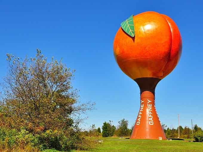 That gorgeous peachy glow against spring greenery proves South Carolina knows how to make infrastructure absolutely unforgettable.