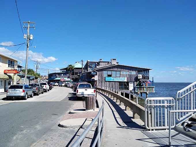 When the road literally ends at paradise, you know you've found something special in Cedar Key.