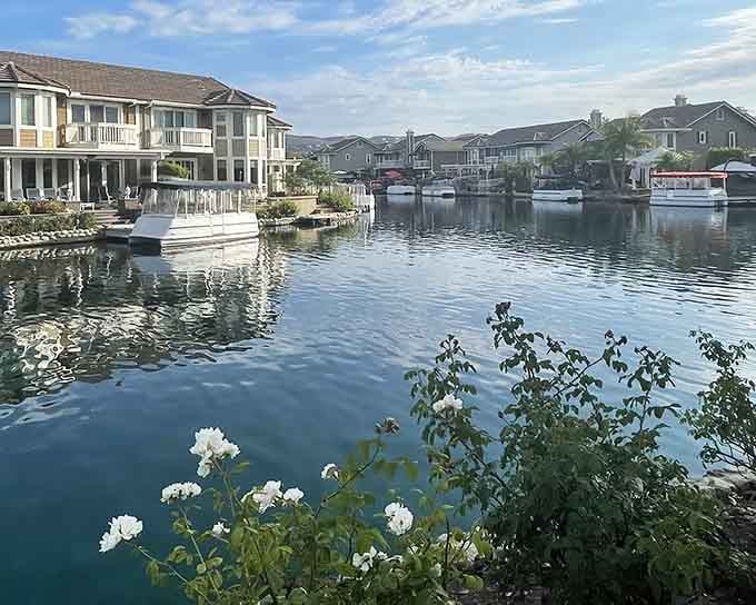 When the water is this calm and the flowers are blooming, you start questioning every life choice that kept you away.