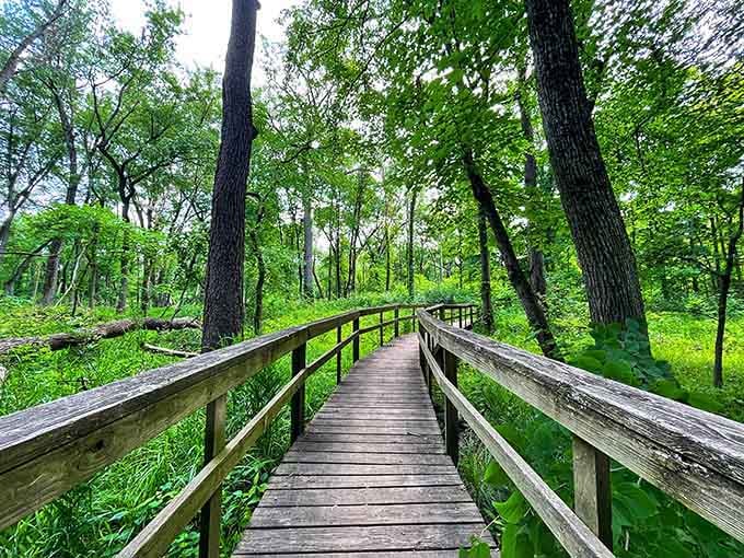 Wandering across this peaceful boardwalk through lush greenery feels like stepping into your own private nature sanctuary right here in Illinois.
