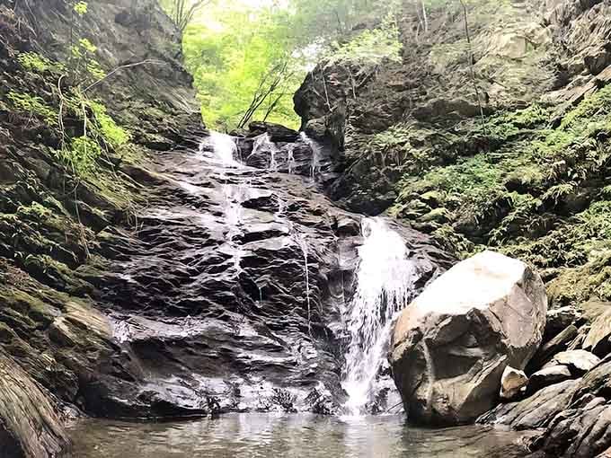Nature's grand finale: this stunning waterfall tucks itself inside a rocky gorge like it's been keeping a delicious secret.