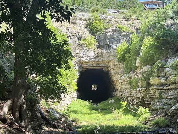 The old railroad tunnel sits quietly in the limestone hill, holding millions of winged secrets inside.
