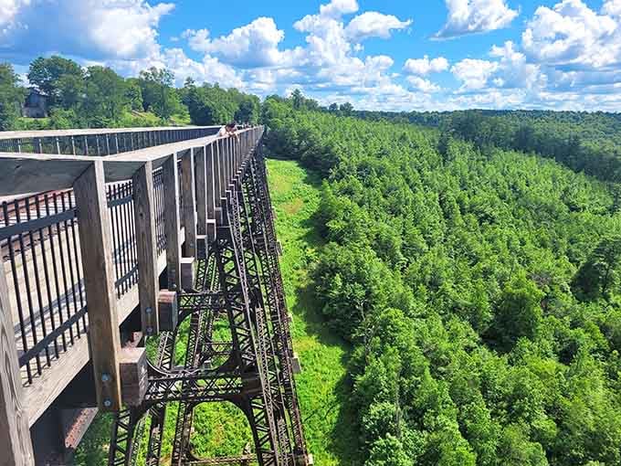 The Kinzua Bridge stands tall above the forest canopy, a testament to engineering ambition and nature's ultimate authority.