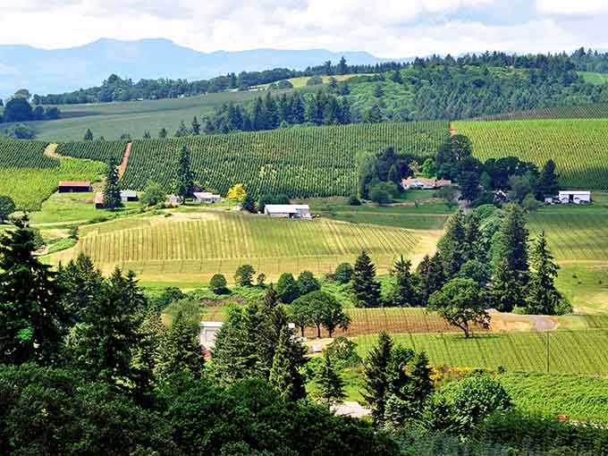 Rolling vineyards and misty mountains prove Oregon's been hiding a masterpiece in plain sight.