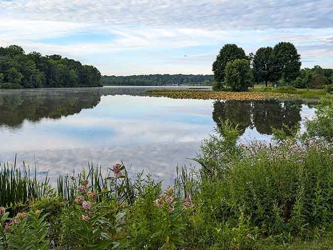 That reflection isn't a painting. Sunny Lake just shows off like this every single morning, completely free of charge.