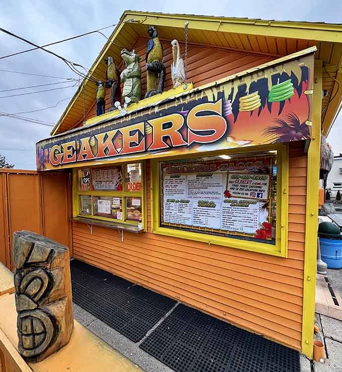 That orange glow isn't a sunset, it's your new favorite taco destination calling you home for dinner.