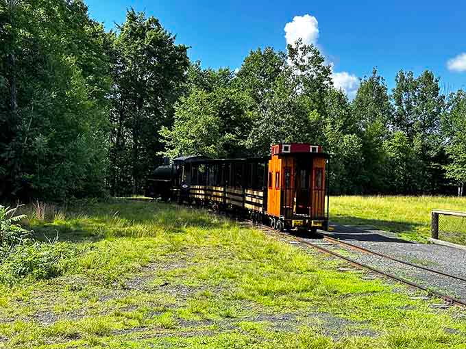 The steam train winds through lush Pennsylvania greenery, proof that some adventures still move at a perfect pace.