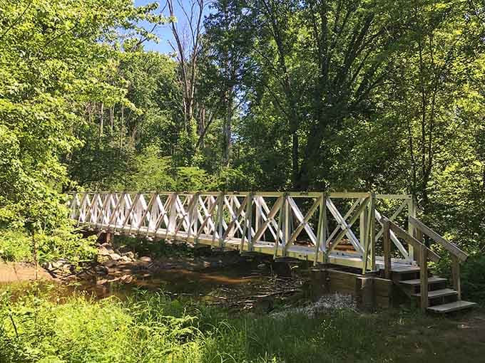 This little white bridge over the Cass River is basically nature's welcome mat to something truly ancient.