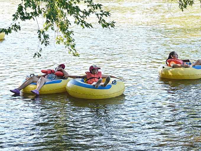 The James River doesn't care about your deadlines, and honestly, neither should you right now.