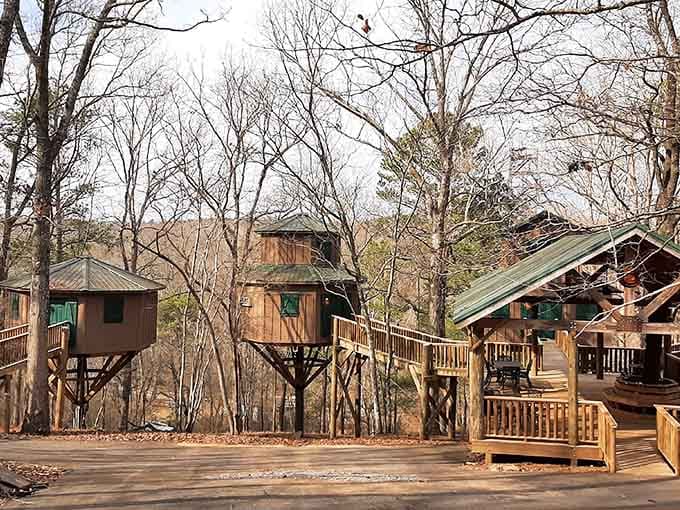 Your childhood treehouse dreams grew up and got serious, complete with actual plumbing and neighbors who also live in trees.