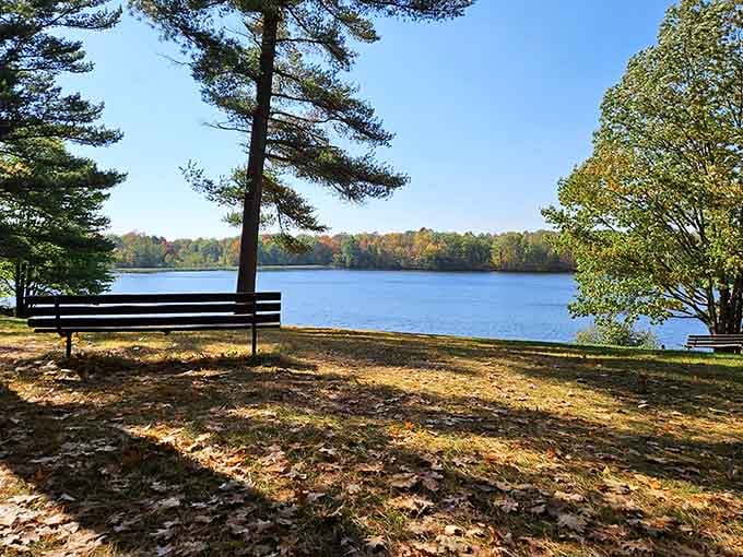 Grab this waterfront bench and settle in for some serious relaxation with views that make all your worries disappear.