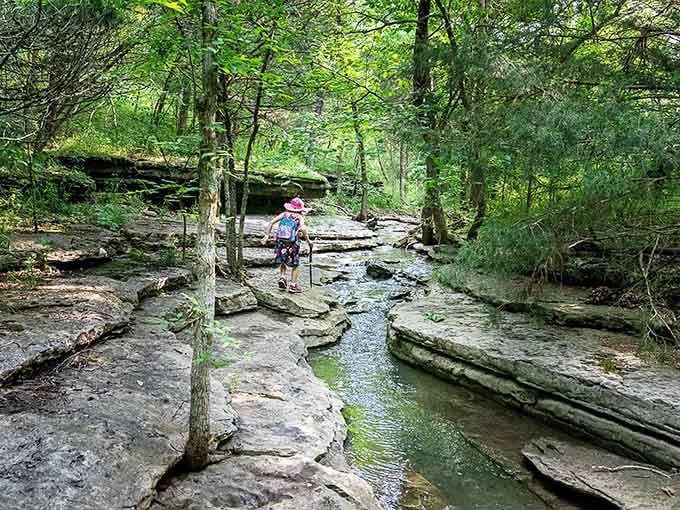 Two miles, multiple waterfalls, zero regrets. The Ozark Chinquapin Trail near Pineville is the real deal.