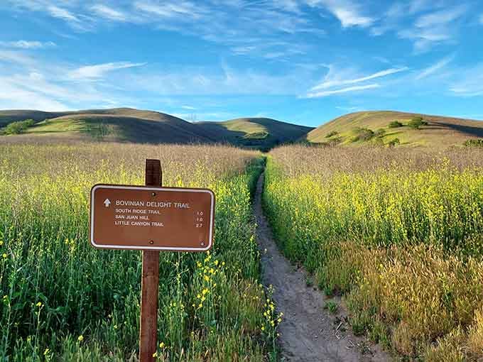 Those rolling hills aren't going to admire themselves, and honestly, neither should you wait any longer.