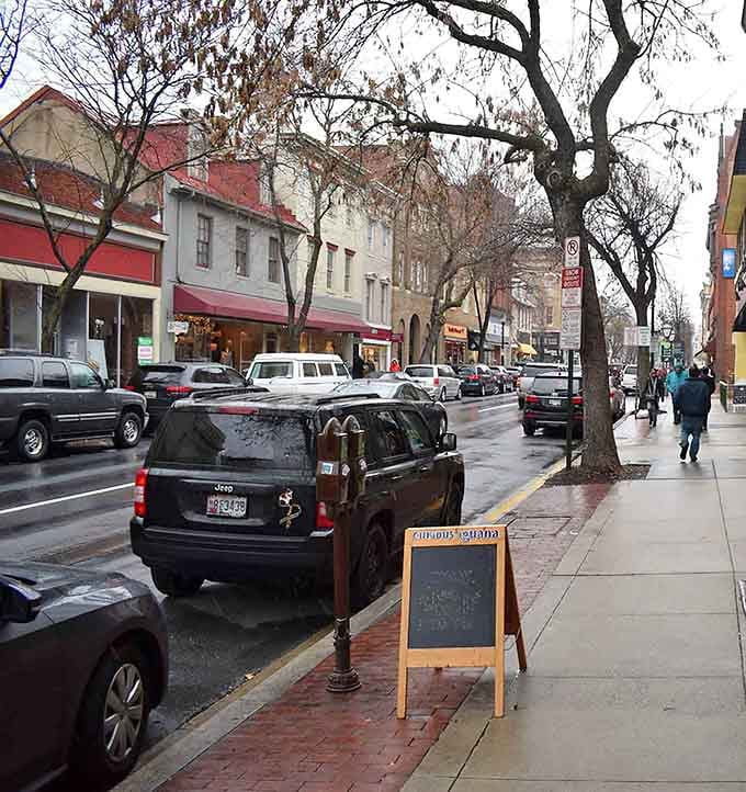 Those winter trees might look bare, but they frame downtown Frederick like nature's own picture frame around small-town charm.