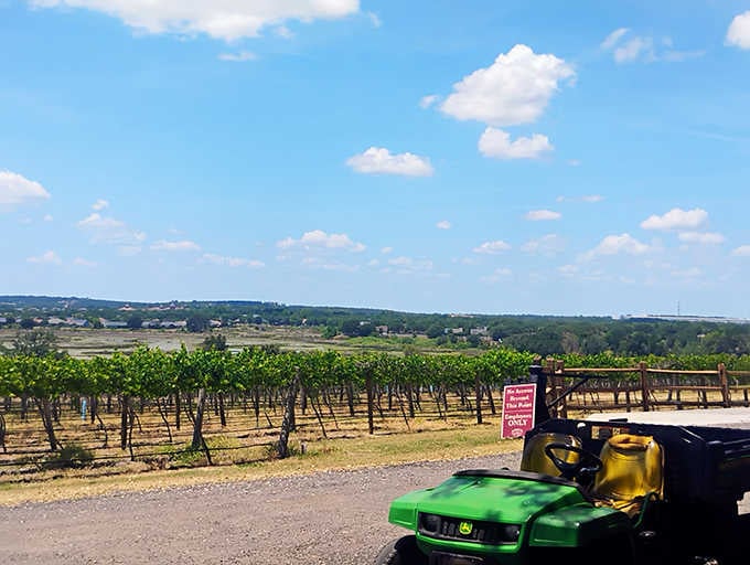 Lakeridge Winery & Vineyards in Clermont proves Florida has more to offer than just theme parks and sunburns.