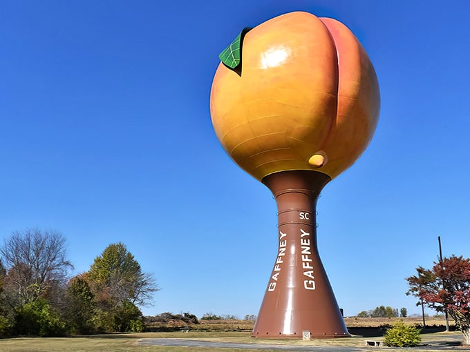 Standing 135 feet tall against a Carolina blue sky, this peachy marvel proves water towers don't have to be boring.