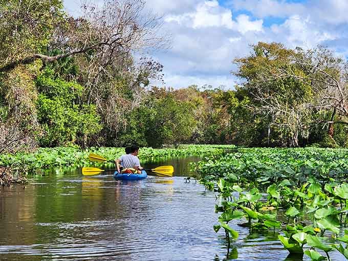 Paddling through lily pads so thick you'd swear you're in Monet's garden, minus the French accent.