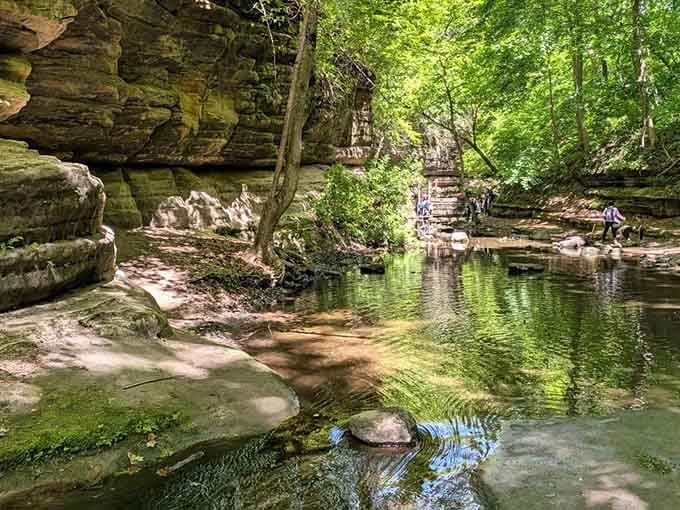 Illinois has been hiding this canyon masterpiece, and honestly, we're all a little offended it took this long.