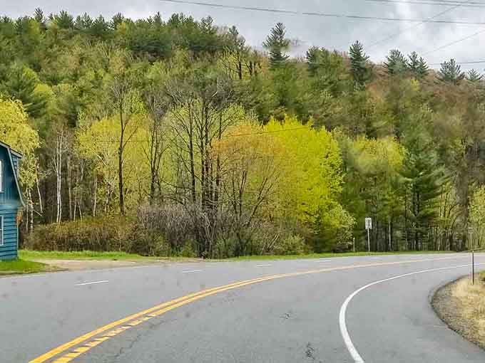 That first burst of spring green hits different when mountains are doing the backdrop work for free.