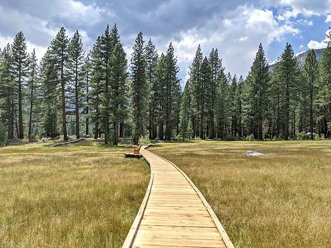 This wooden boardwalk through golden meadows feels like nature's red carpet, minus the paparazzi and uncomfortable shoes.