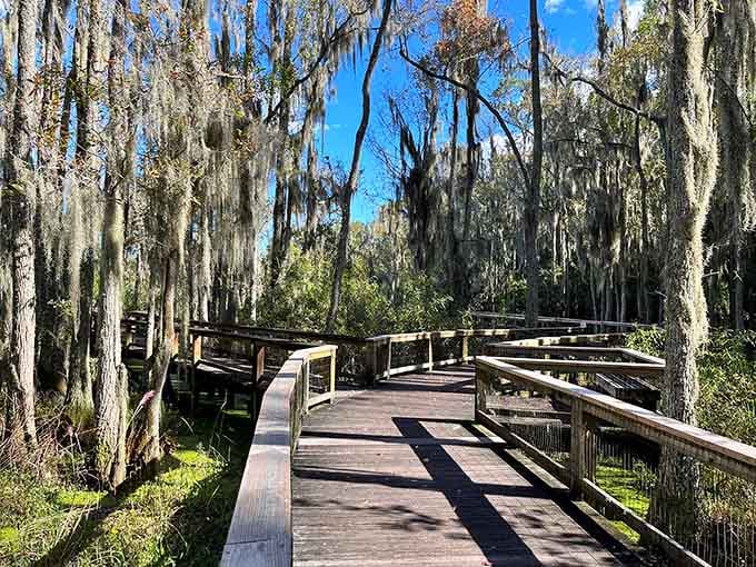 These boardwalks don't just take you through a swamp, they take you somewhere you'll never forget.