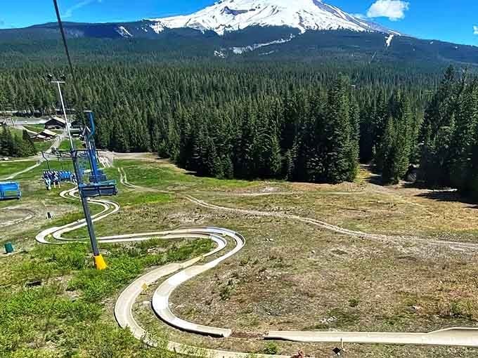 That winding white ribbon of joy snaking down the mountain? That's your afternoon plans calling.