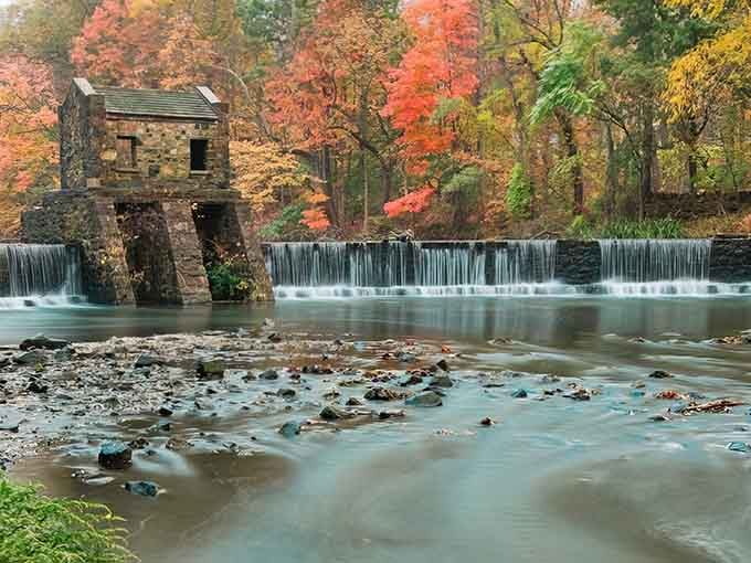 Silky water, scattered rocks, and a riot of fall color behind it all. New Jersey, you really outdid yourself this time.