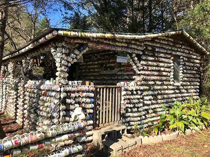 Thirty thousand mugs and zero regrets. This North Carolina cabin redefines the meaning of a full cup.