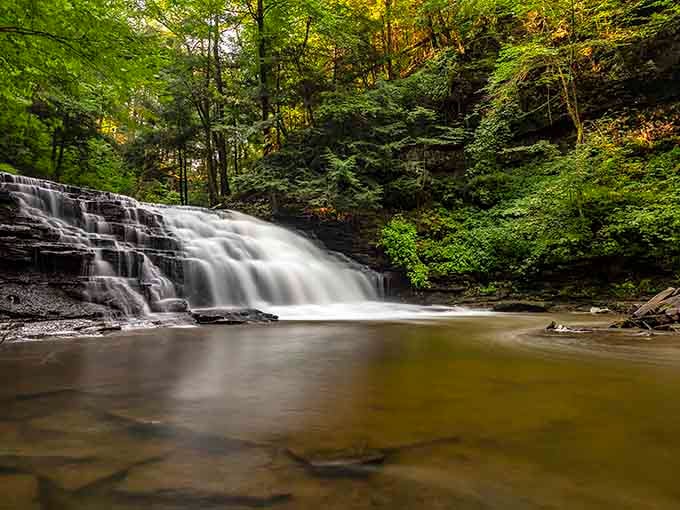 That silky waterfall isn't a painting, it's Fall Brook reminding you that the best things in life are free and wet.