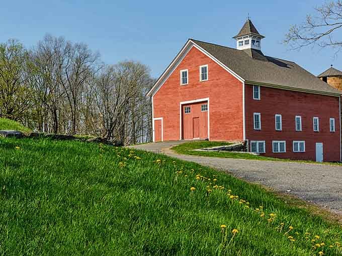 Those classic red barns at Horsebarn Hill remind you that Connecticut's farming soul runs deep and proud.