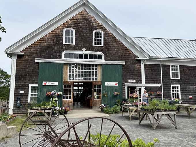 Those green barn doors aren't just an entrance, they're an invitation to slow down and stay awhile.