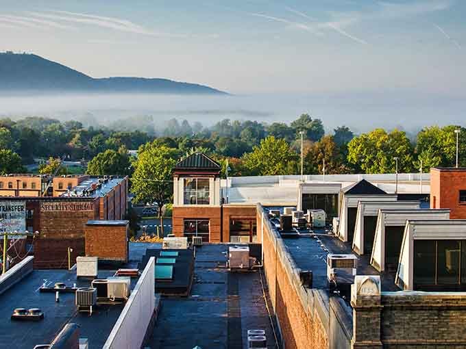 Good morning, Charlottesville! The Blue Ridge Mountains peeking through the morning mist make waking up here an absolute treat.